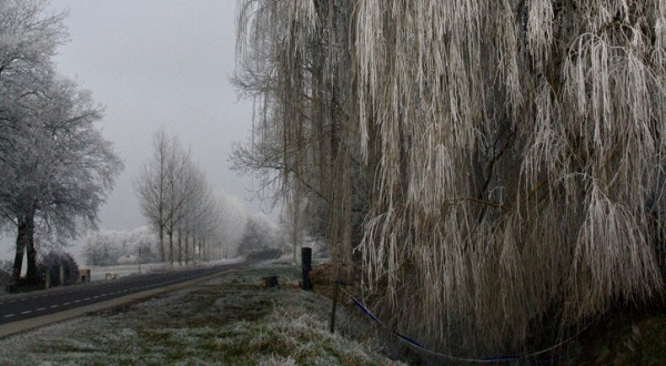 Medicatie bij winterdepressie - Psyfar vs